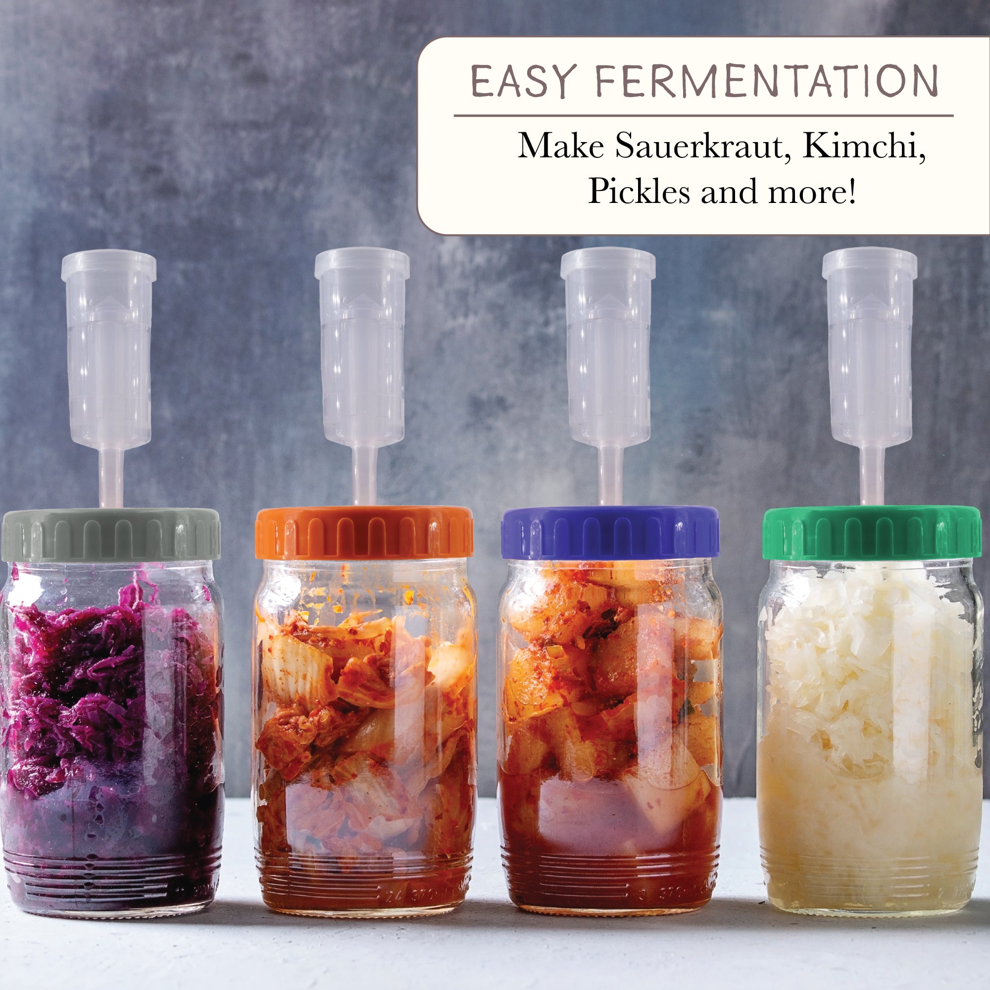 Fermentation Set Collection – Elementi